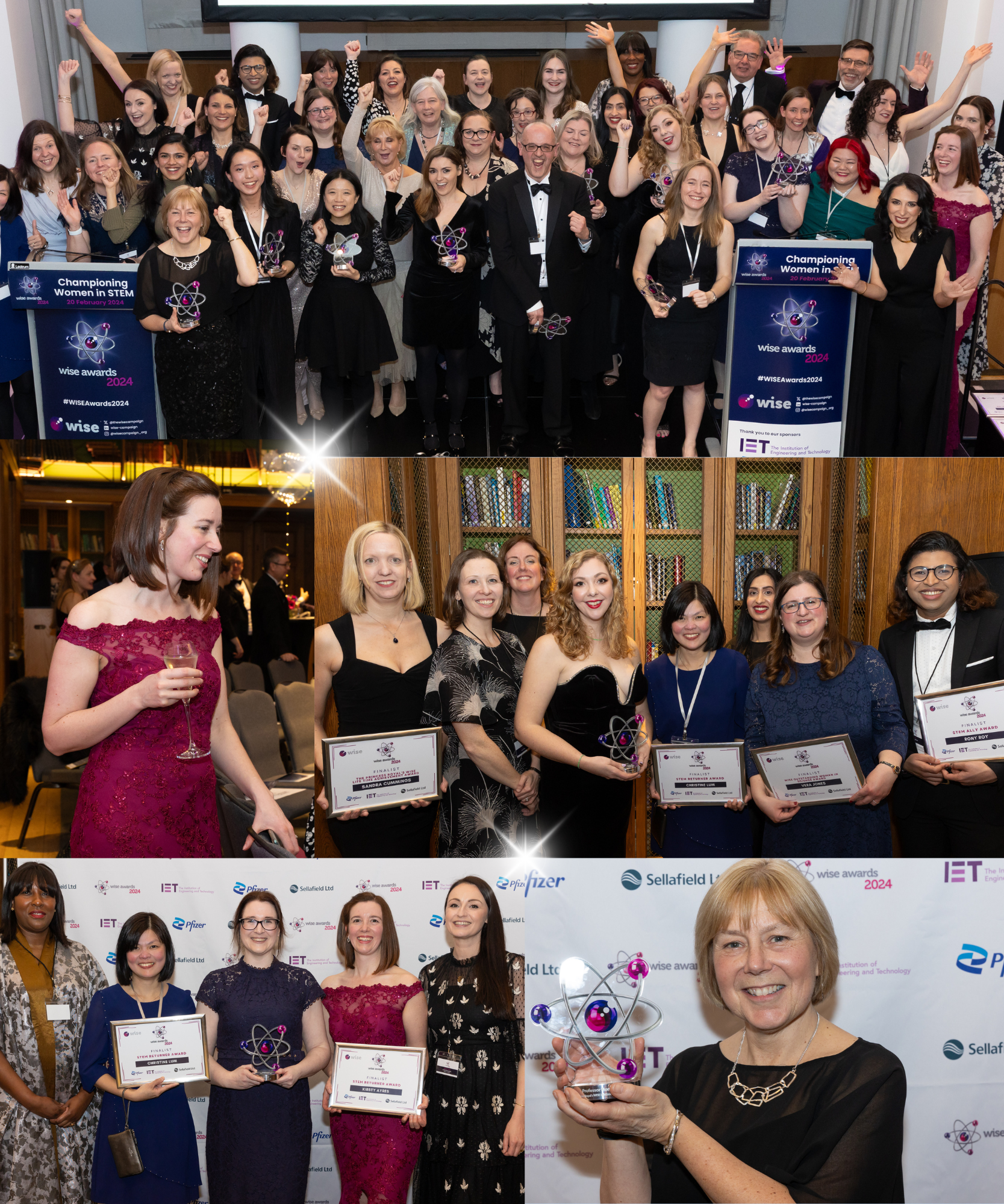 The WISE Awards 2024: Championing Women in STEM - WISE