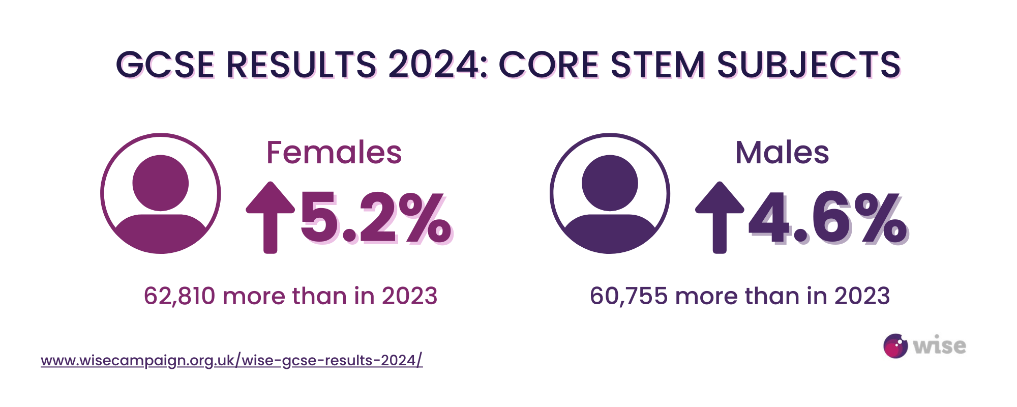 GCSE Results 2024 - WISE